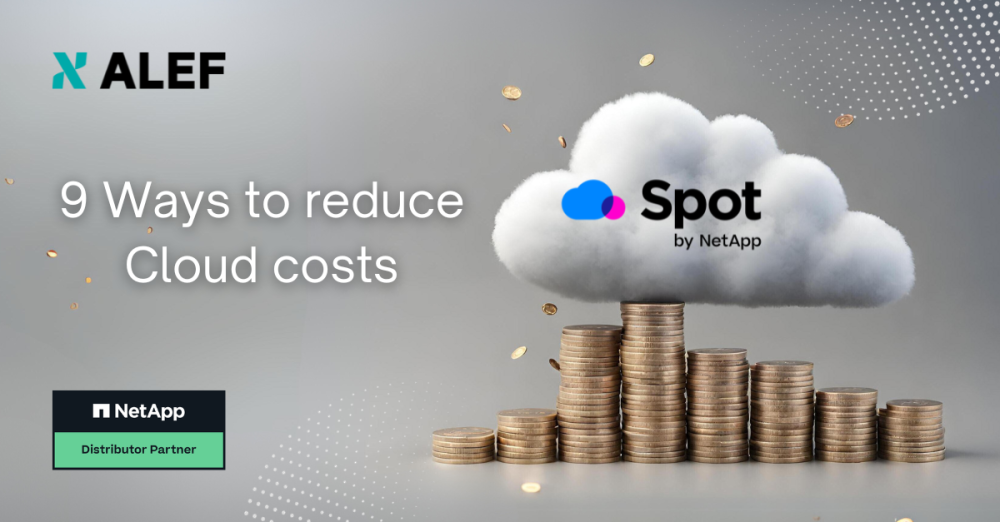 Top 9 Strategies for Cutting Cloud Expenses | ALEF